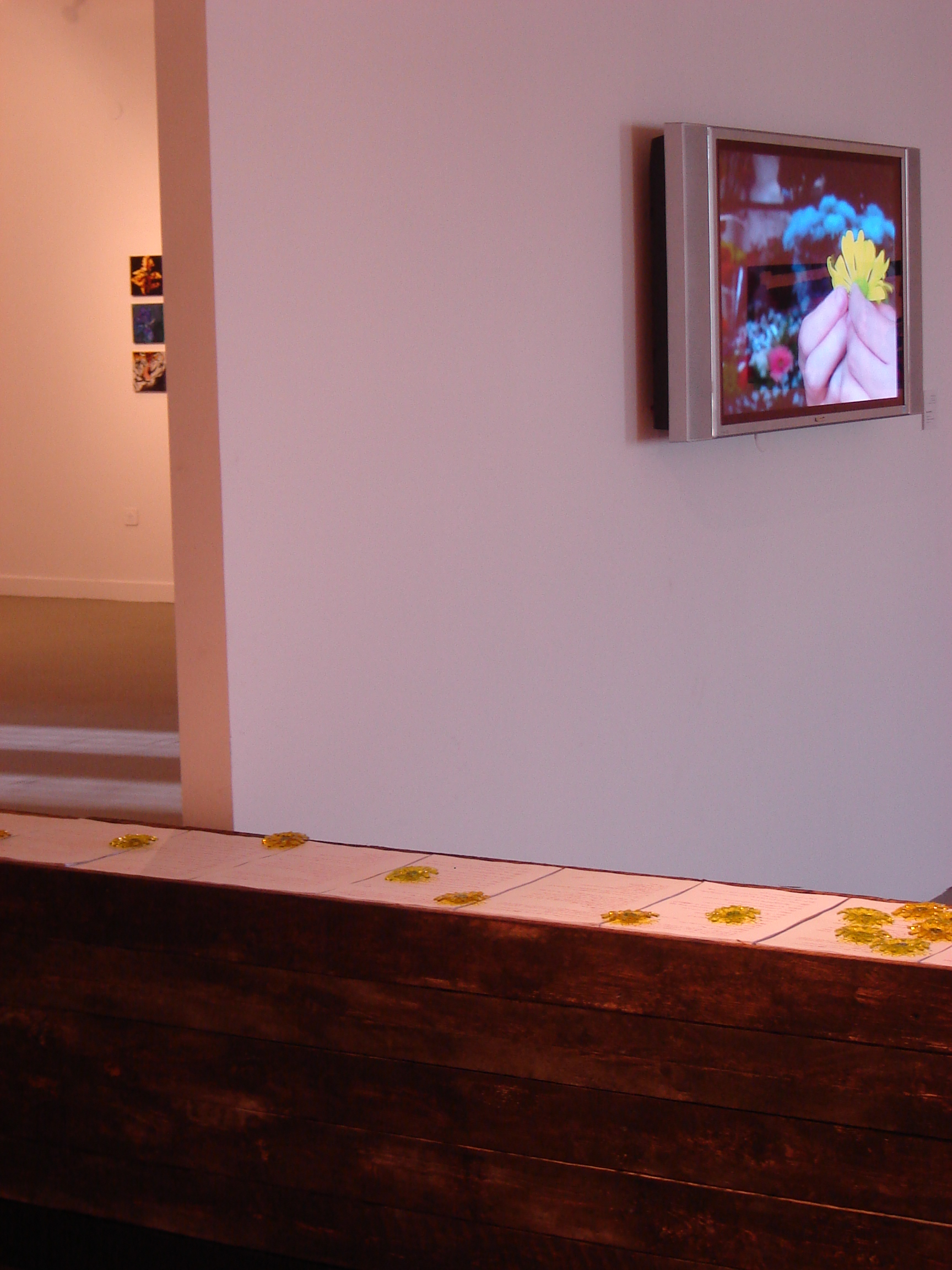 LOVE ME, LOVE ME NOT (2006) Full Project – Manal Mahamid