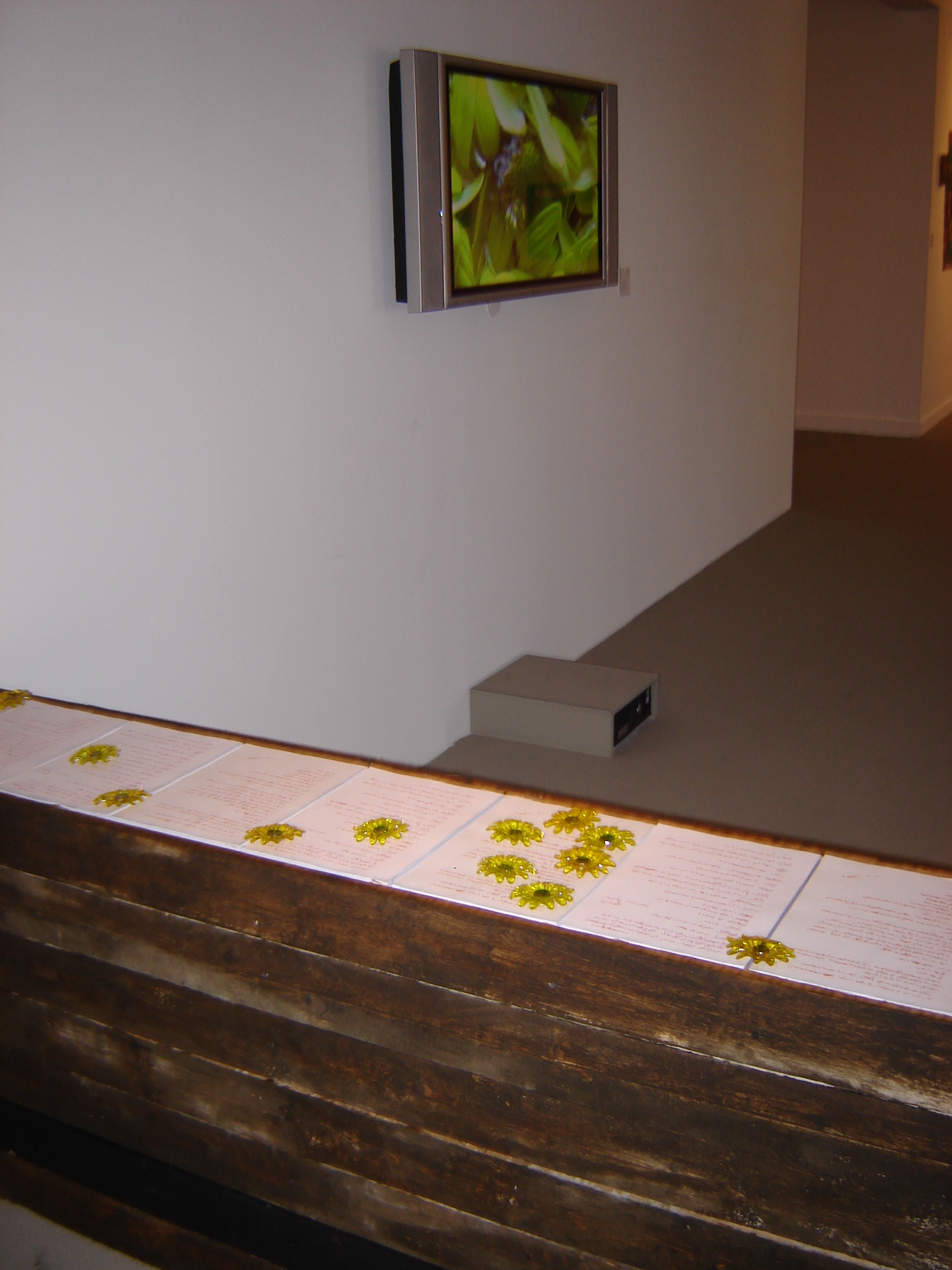LOVE ME, LOVE ME NOT (2006) Full Project – Manal Mahamid
