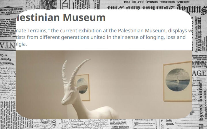 Media – Manal Mahamid