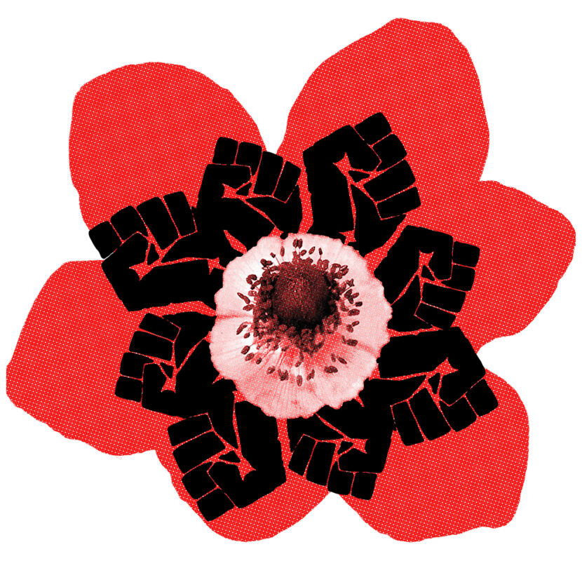 The Freedom Flower – Manal Mahamid